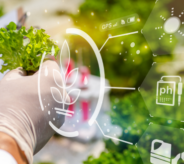 Cookr - India's No-1 Homemade Food Delivery App by the Home Chefs